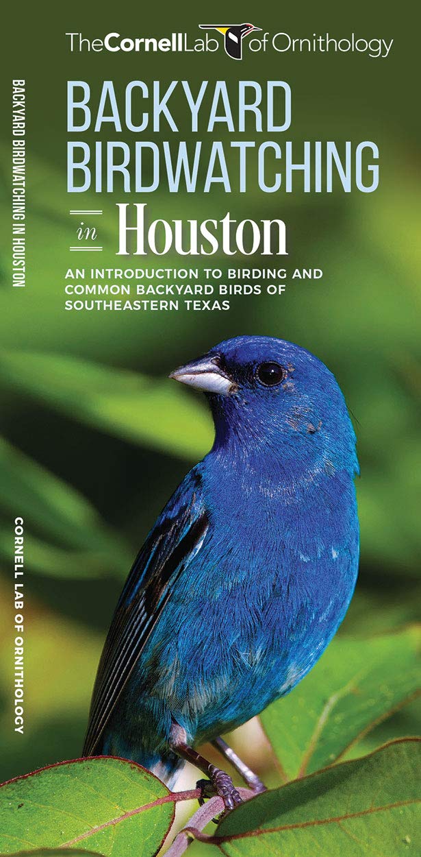 Amazon.com: Backyard Birdwatching in Houston: An Introduction to ...