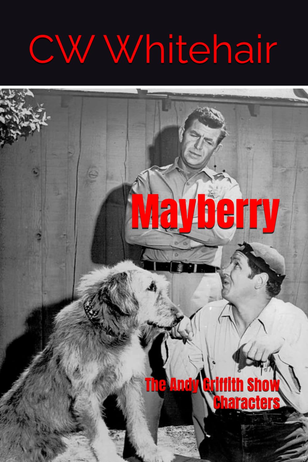 Mayberry: The Andy Griffith Show Characters: Whitehair, CW ...