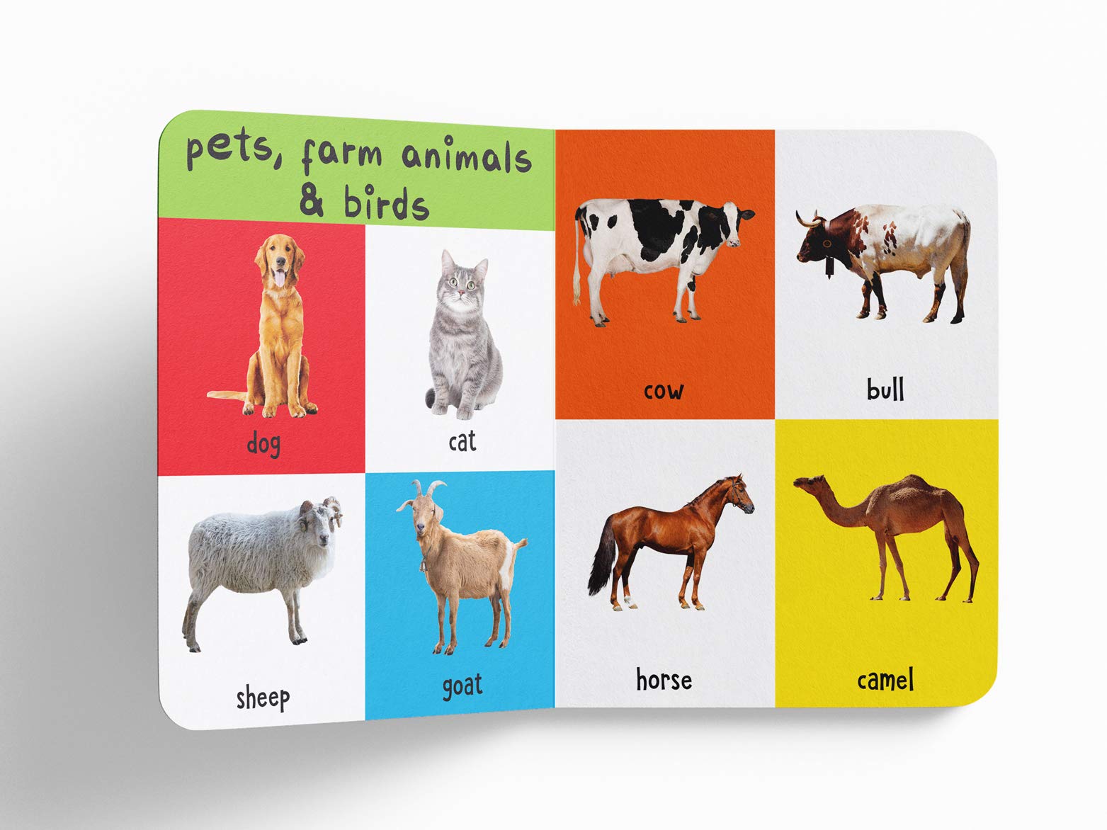 Buy My First 4-in-1 One Wild Animals, Pet and Farm Animals, Birds, Sea ...