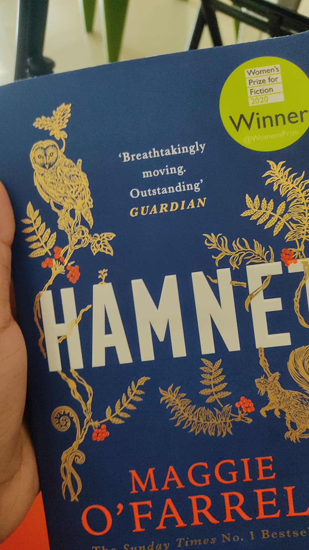 Buy HAMNET Book Online at Low Prices in India | HAMNET Reviews ...