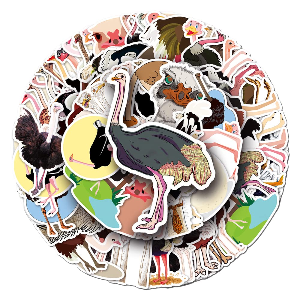 Amazon.com: Cute Ostrich Stickers for Kids Boys Girls Teens|50 Pcs ...