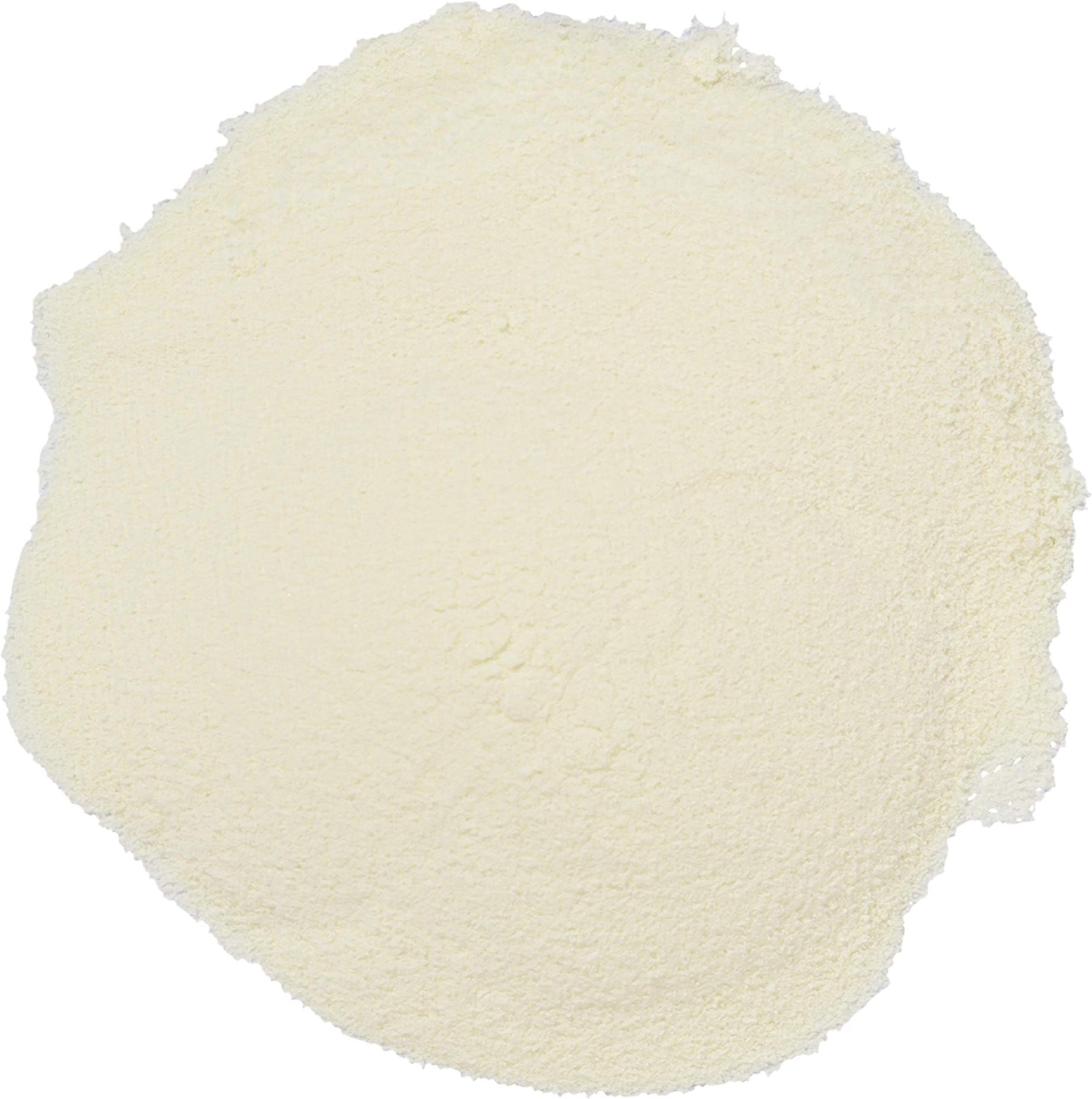 Amazon.com: OliveNation High Heat Nonfat Milk Powder From Dried Nonfat ...
