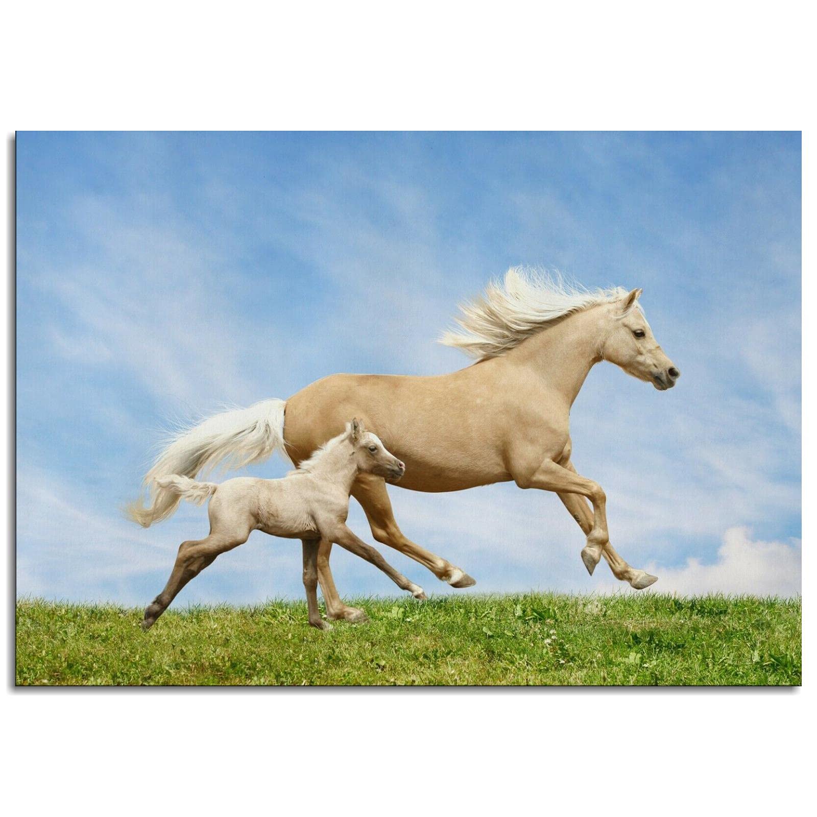 Palomino Horse Rearing