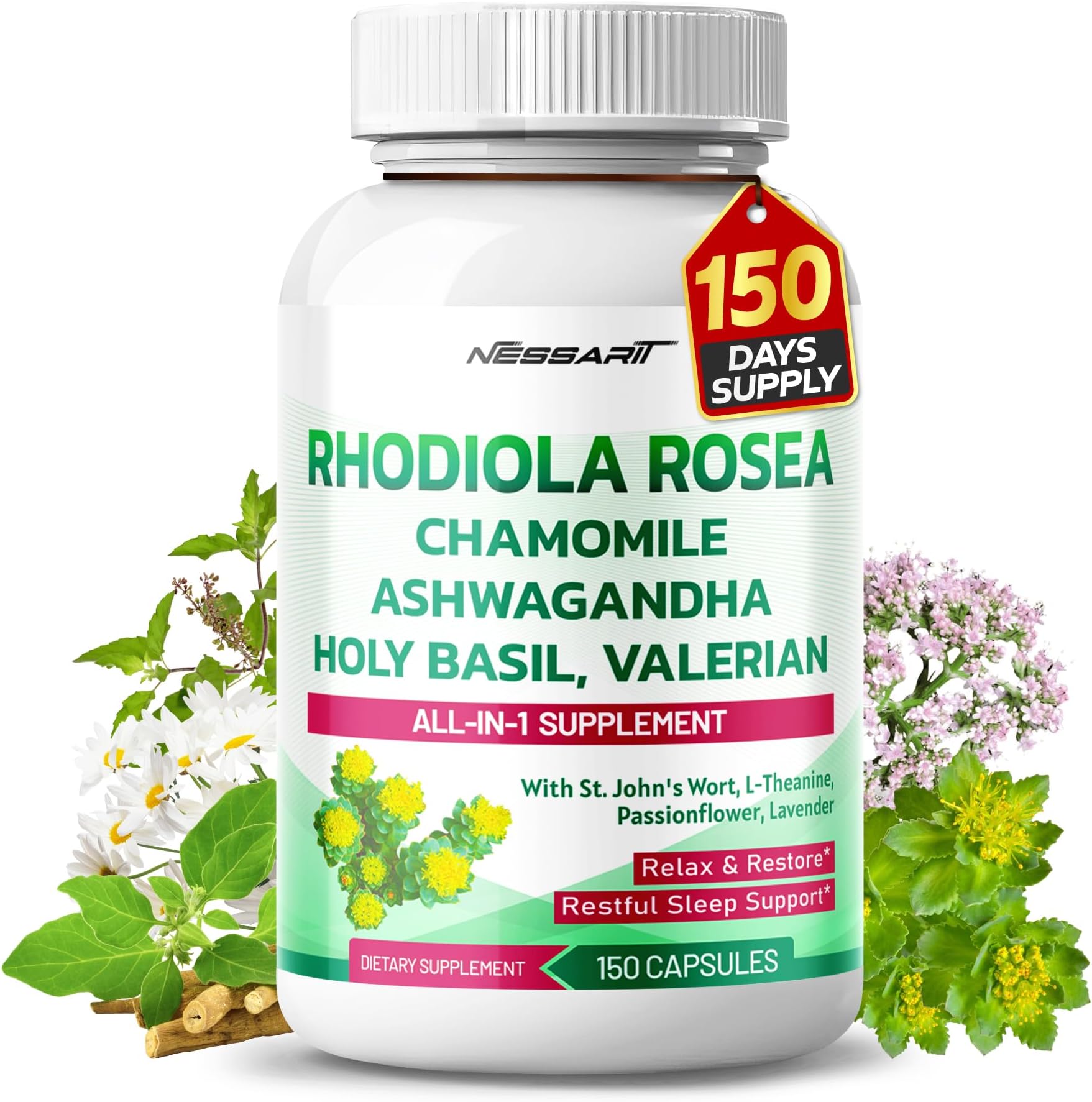 Amazon.com: RHODIOLA ROSEA Supplement- 11-in-1 Natural Blend with ...