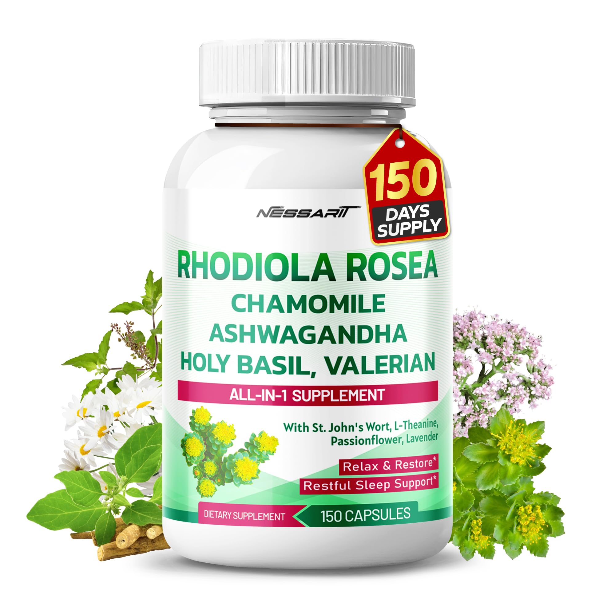 Amazon.com: RHODIOLA ROSEA Supplement- 11-in-1 Natural Blend with ...