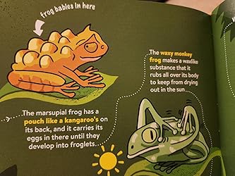 Amazon.com: Animal FACTopia!: Follow the Trail of 400 Beastly Facts ...