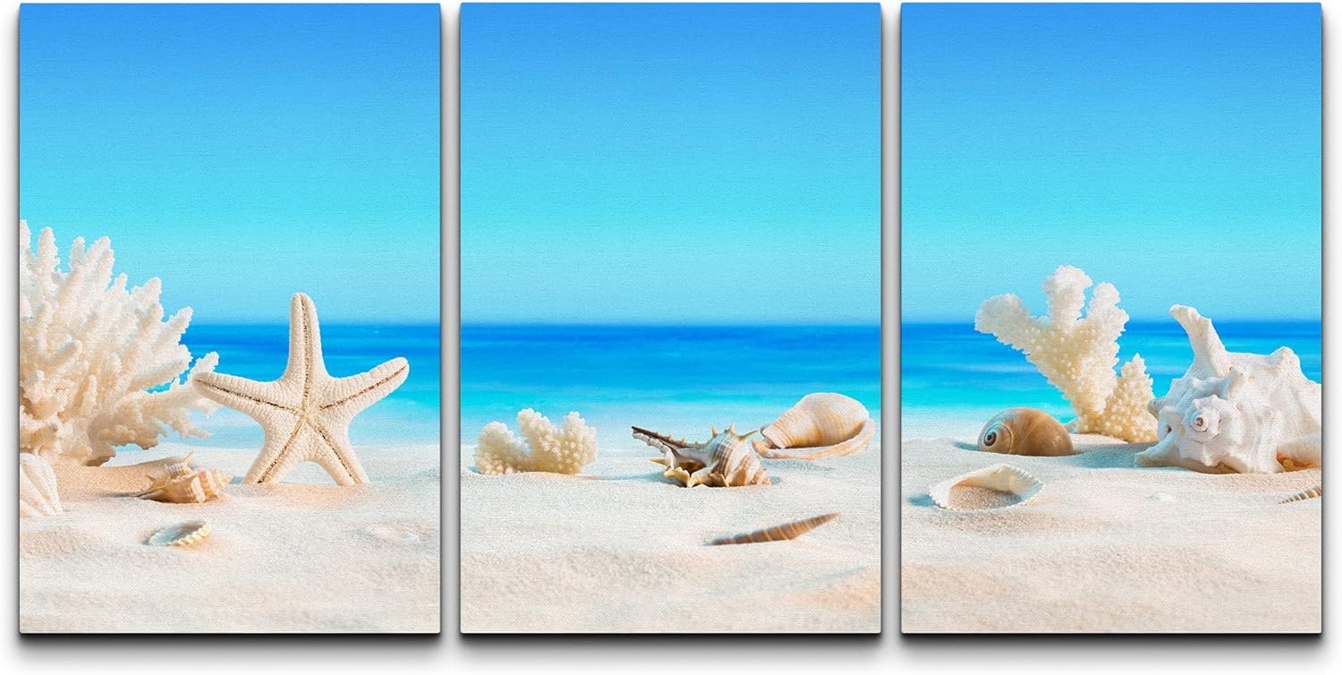 Amazon.com: wall26 Canvas Print Wall Art Seashells on Tropical Beach ...