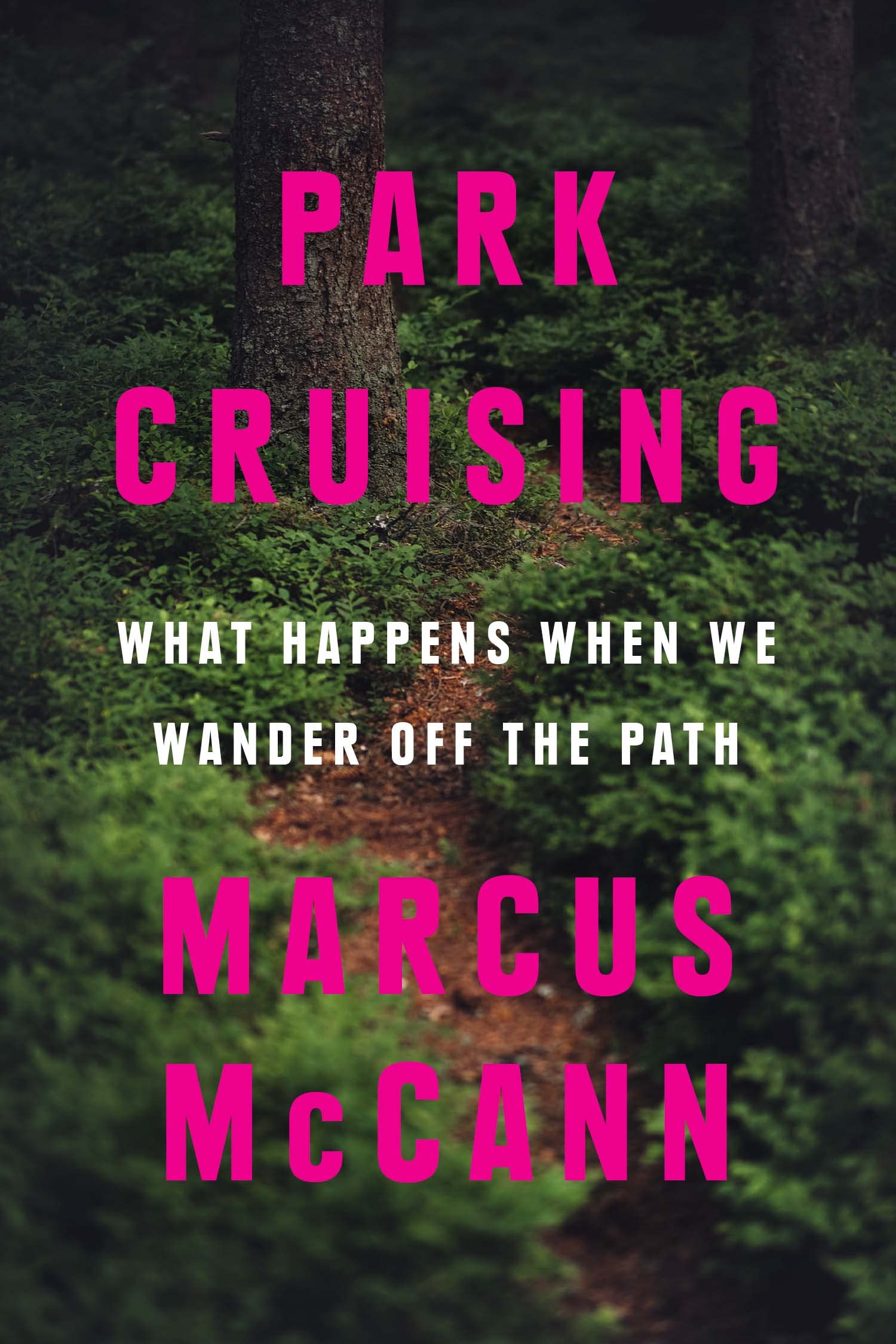 Amazon.com: Park Cruising: What Happens When We Wander Off the Path: 9781487011789: McCann ...