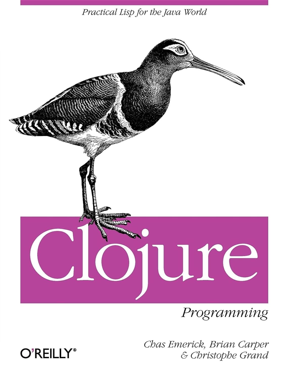 Clojure Programming: Practical Lisp for the Java World: Emerick, Chas ...