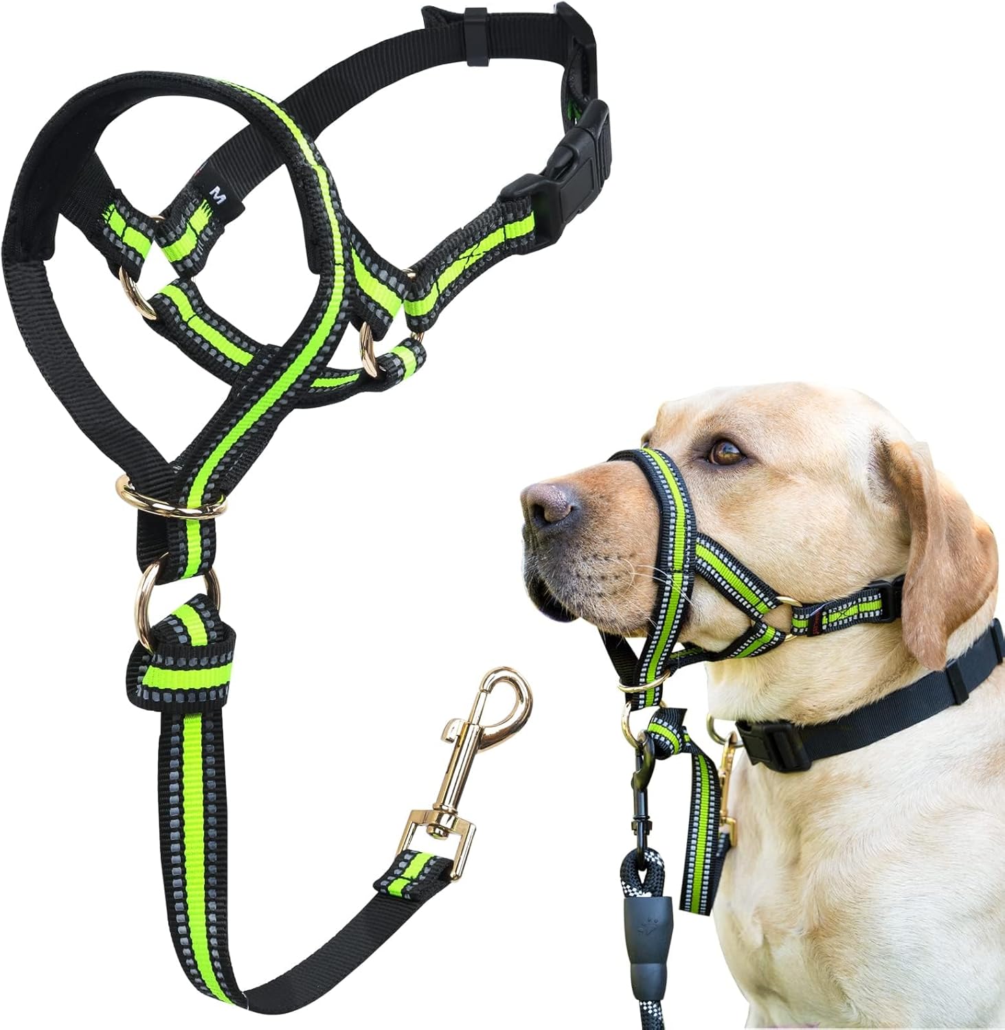 Amazon.com : XL No Pull Head Collar and L Green No Pull Dog Training ...