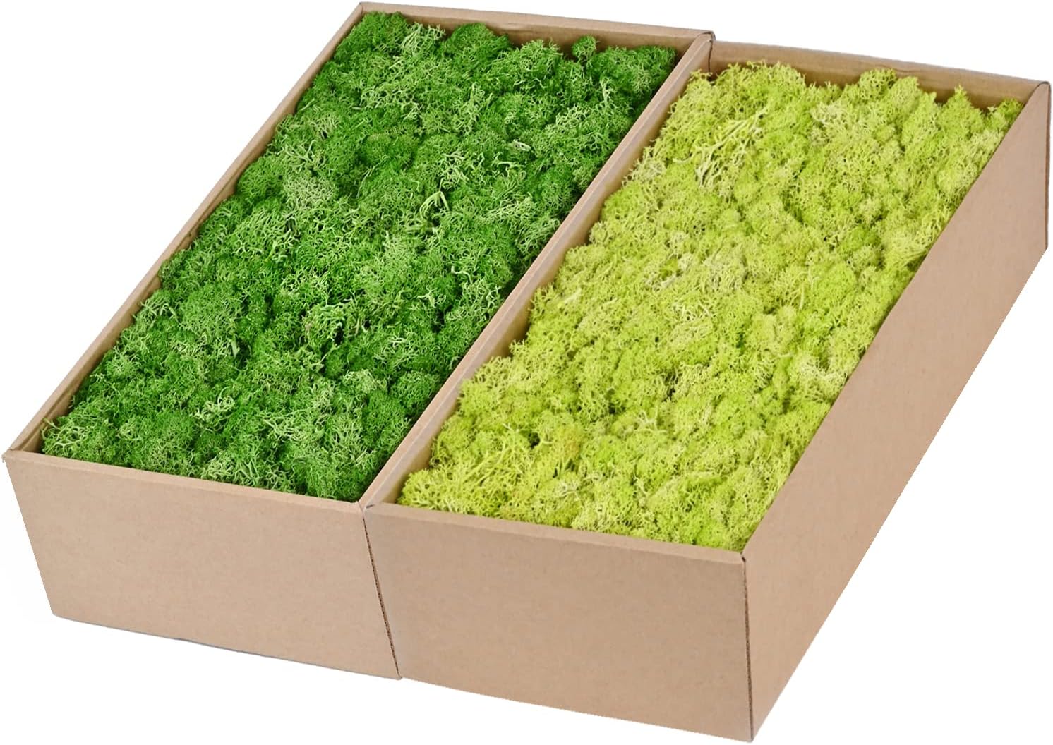 Amazon.com: TAIKUU Preserved Moss Bulk, Easter Moss Fairy Garden ...