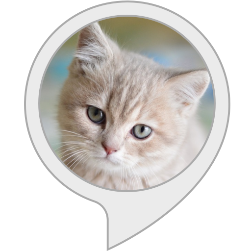 Amazon.com: My Cat Facts : Alexa Skills