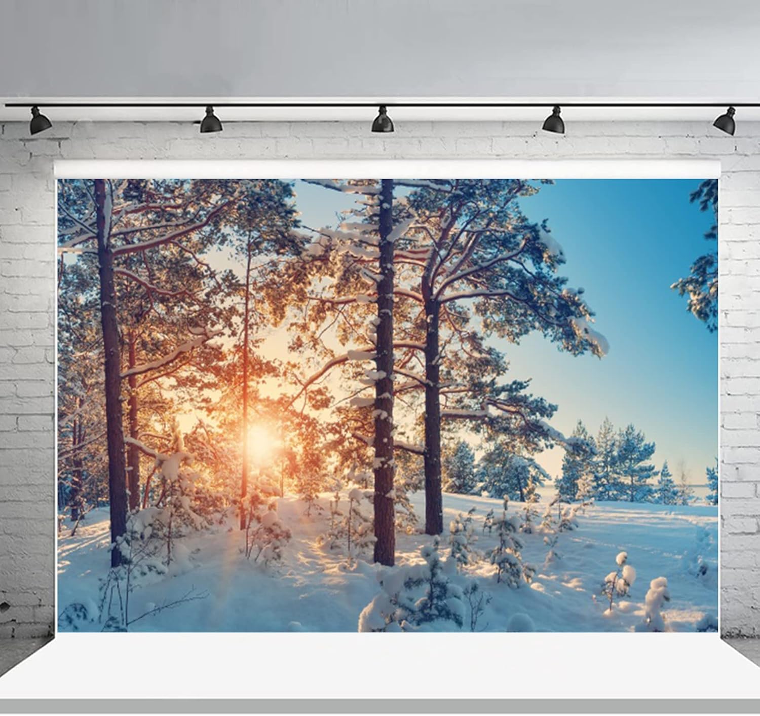 Amazon.com : 8x6ft Winter Wonderland Backdrop Snow Scene Backdrop ...