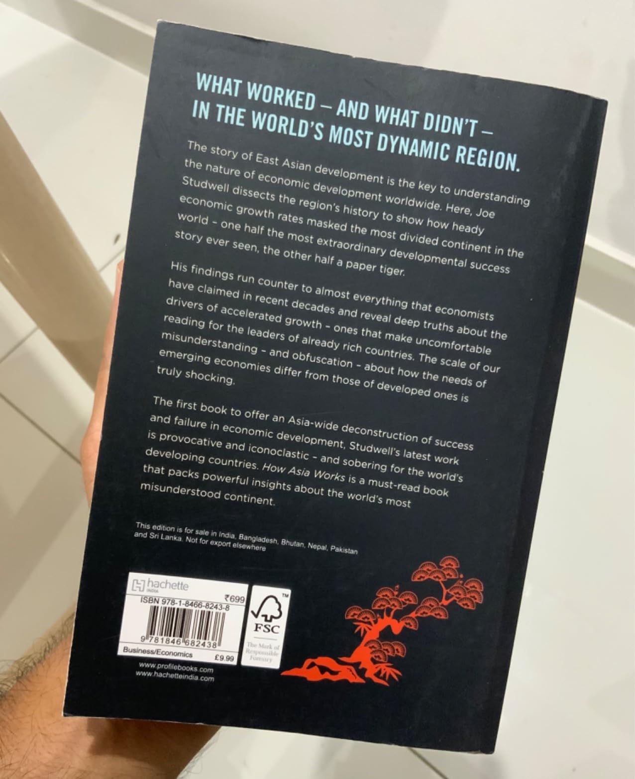 Buy HOW ASIA WORKS Book Online at Low Prices in India | HOW ASIA WORKS ...