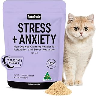 Understanding Cat Tantrums: Why They Happen And What To Do | PetShun