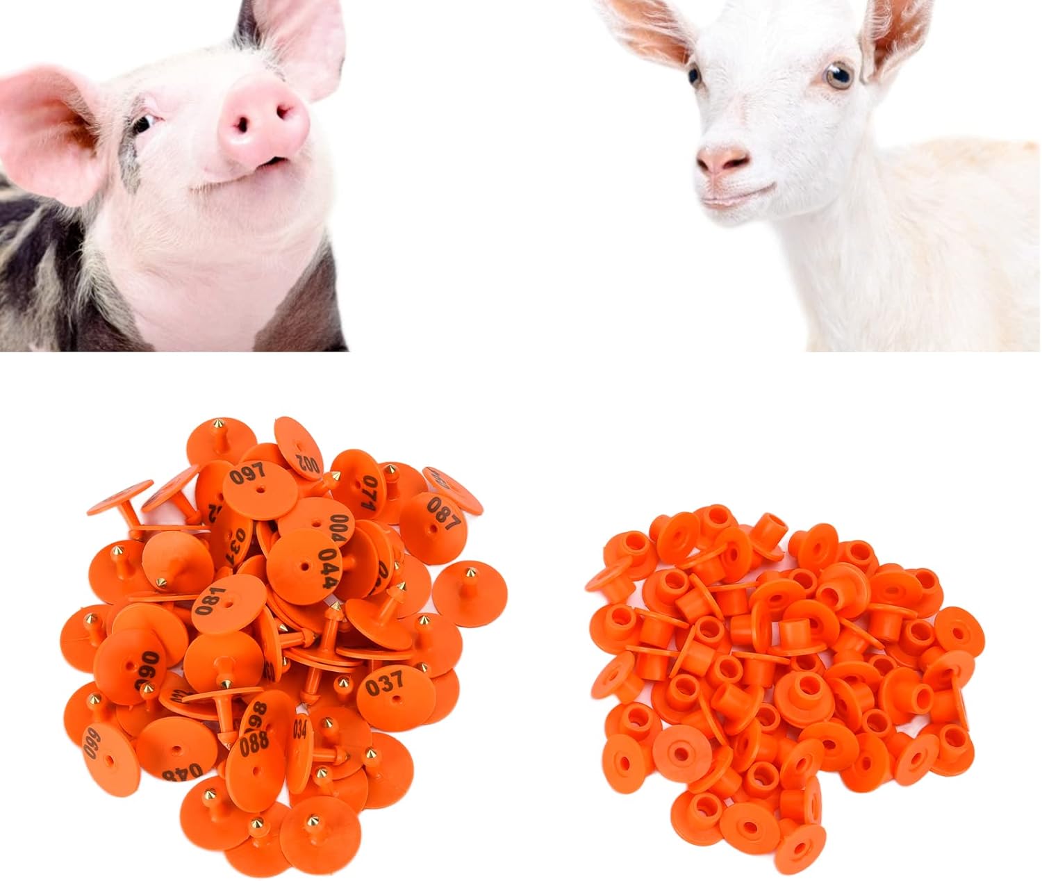 Amazon.com: Shanrya Pig Round Ear Tag, 001-100 Numbers Livestock Ear ...