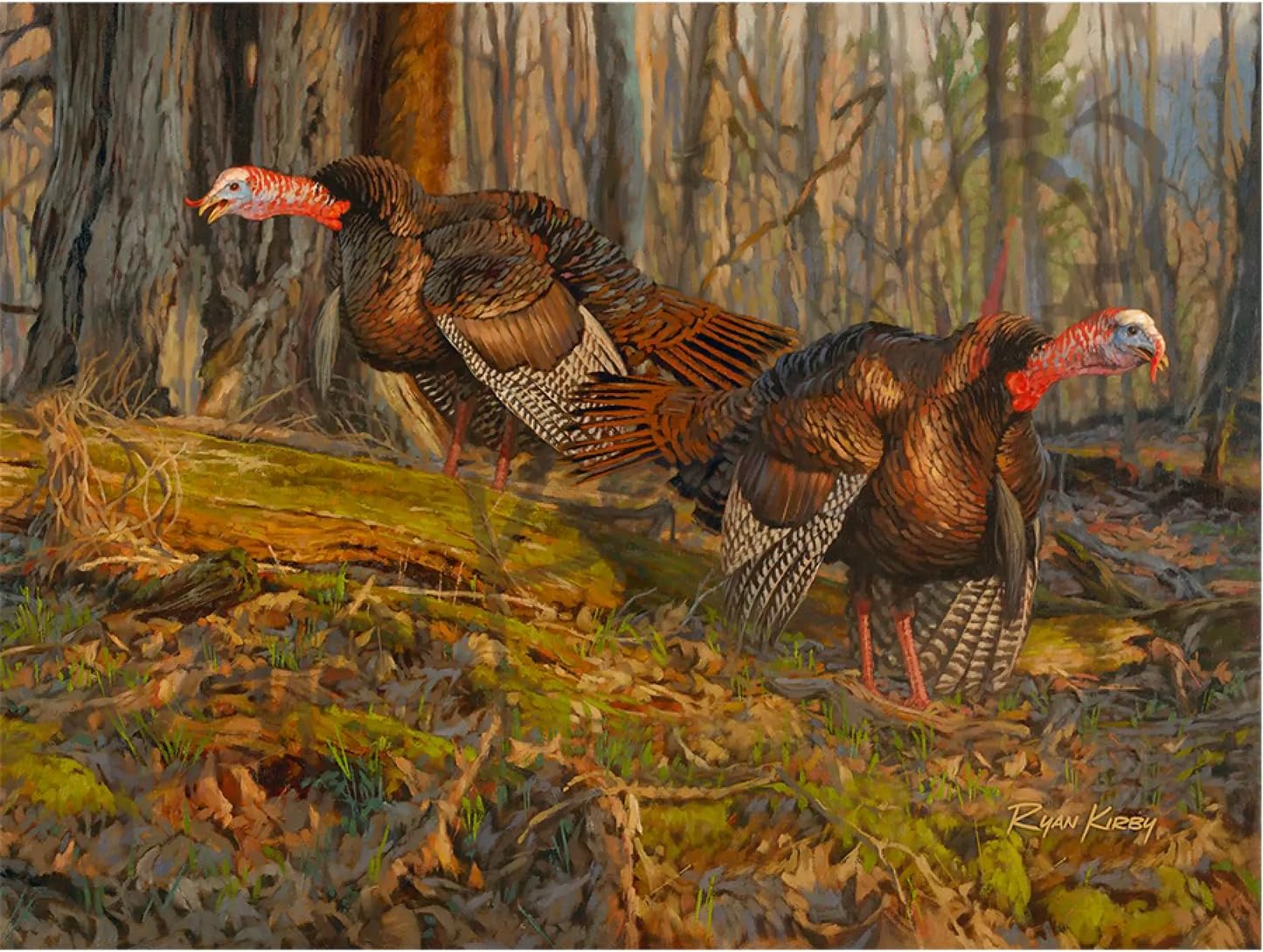 Amazon.com: Ryan Kirby SONS OF THUNDER WILD TURKEY UNFRAMED CANVAS ART ...
