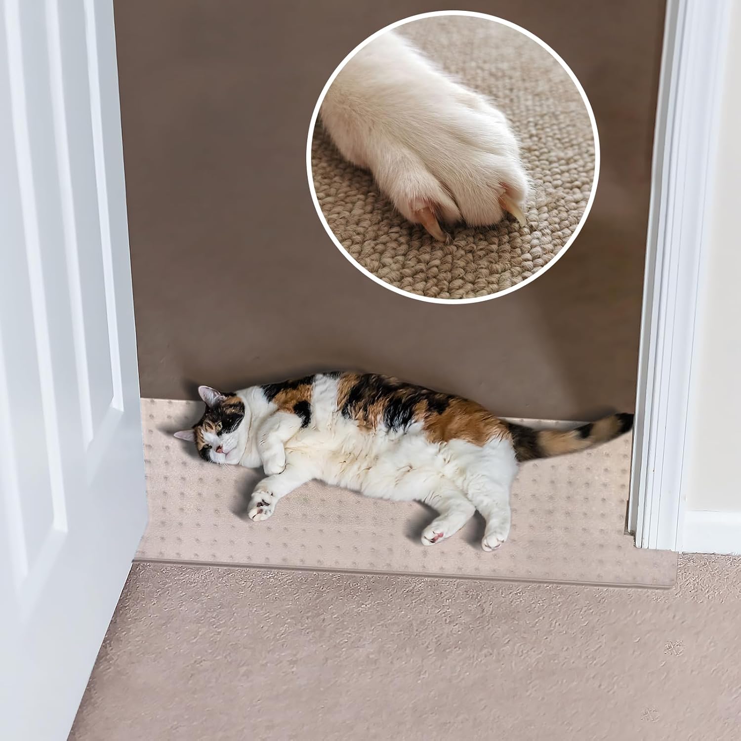Amazon.com: BiirBlue 3.6ft Carpet Protector for Pets, Cat Carpet ...