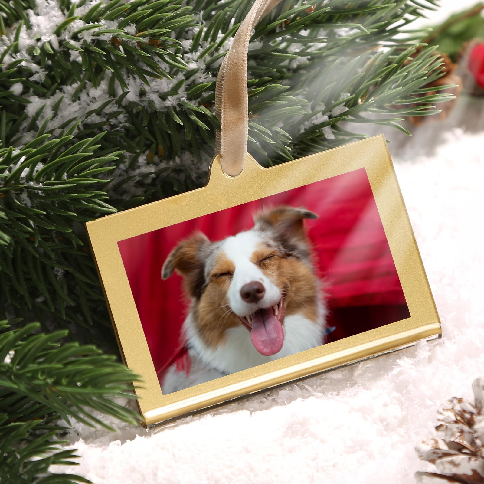 Amazon.com - Jetec 30 Pcs Christmas Photo Ornament Frame Xmas Picture ...