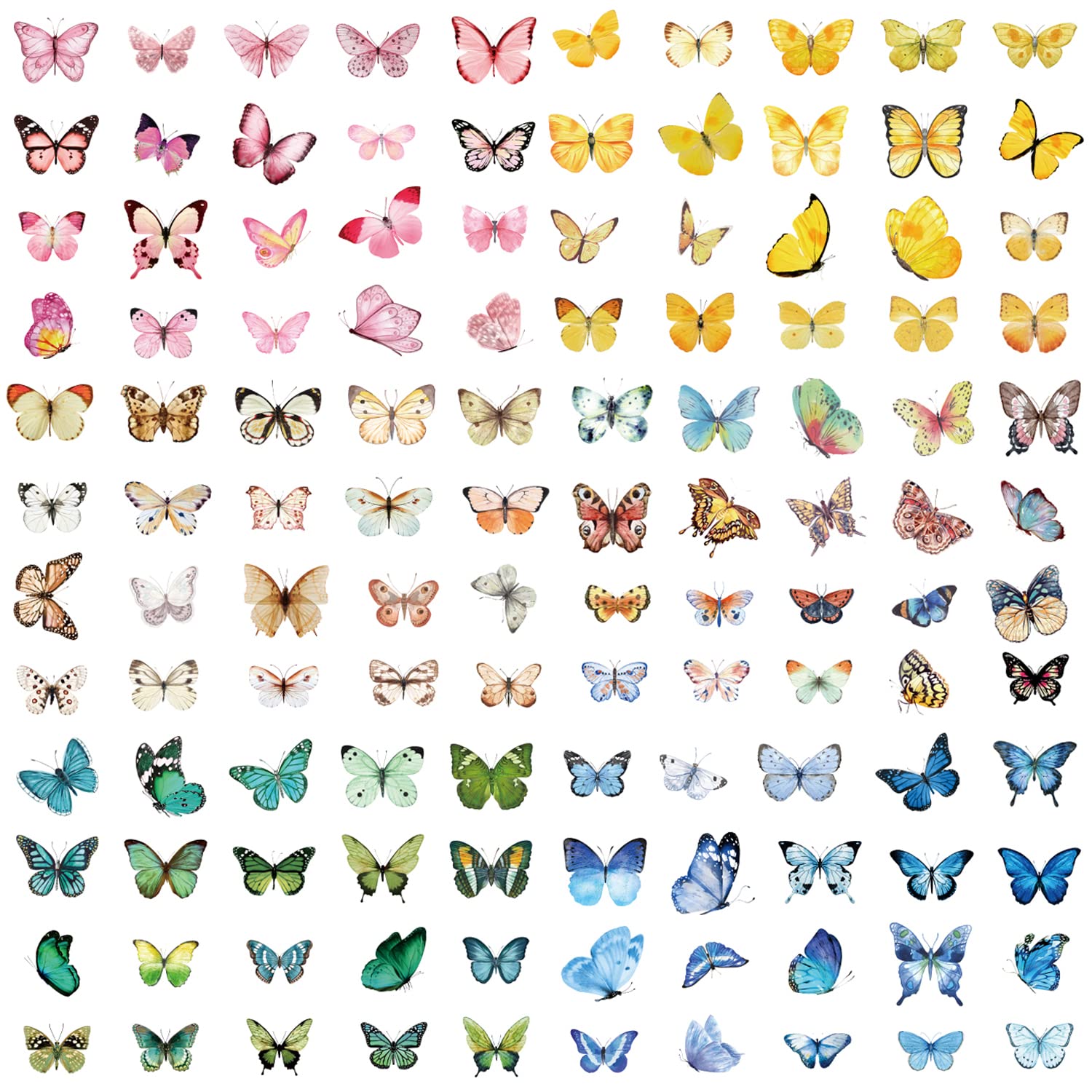 Cute Butterflies