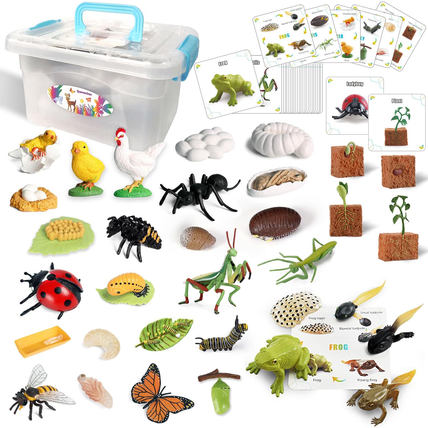 Life Cycle Of Animals Worksheet QuarenDen Life Cycle Toys, Preschool