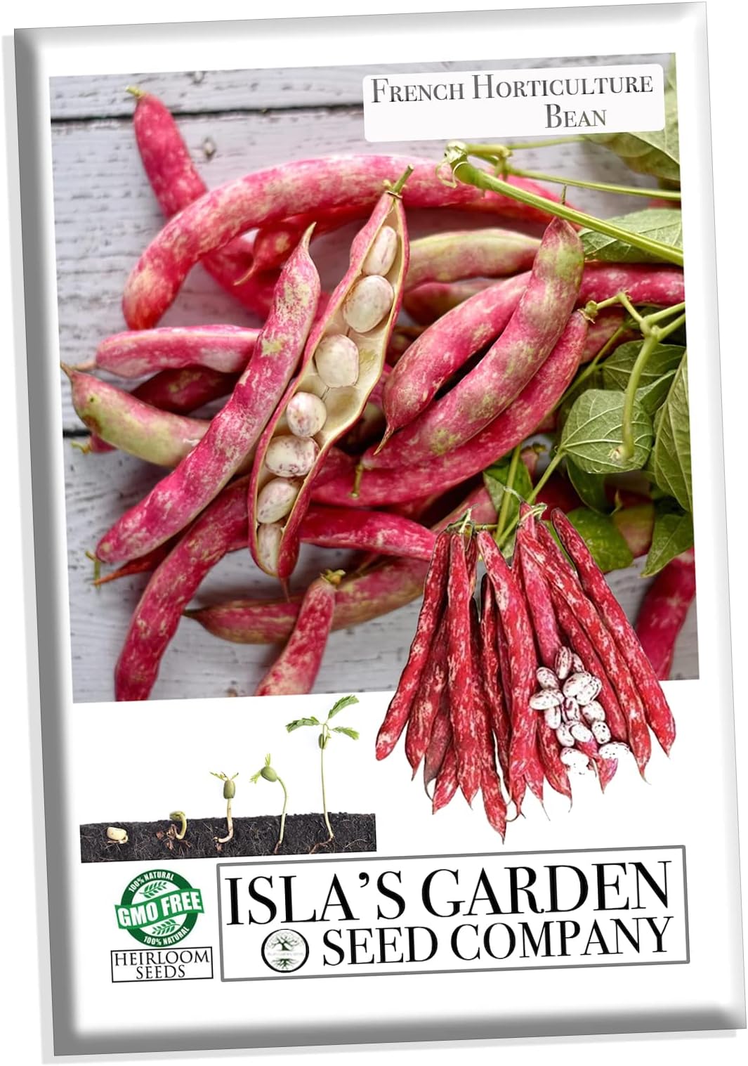 Amazon.com : French Horticulture Bean Seeds for Planting, 50+ Heirloom ...