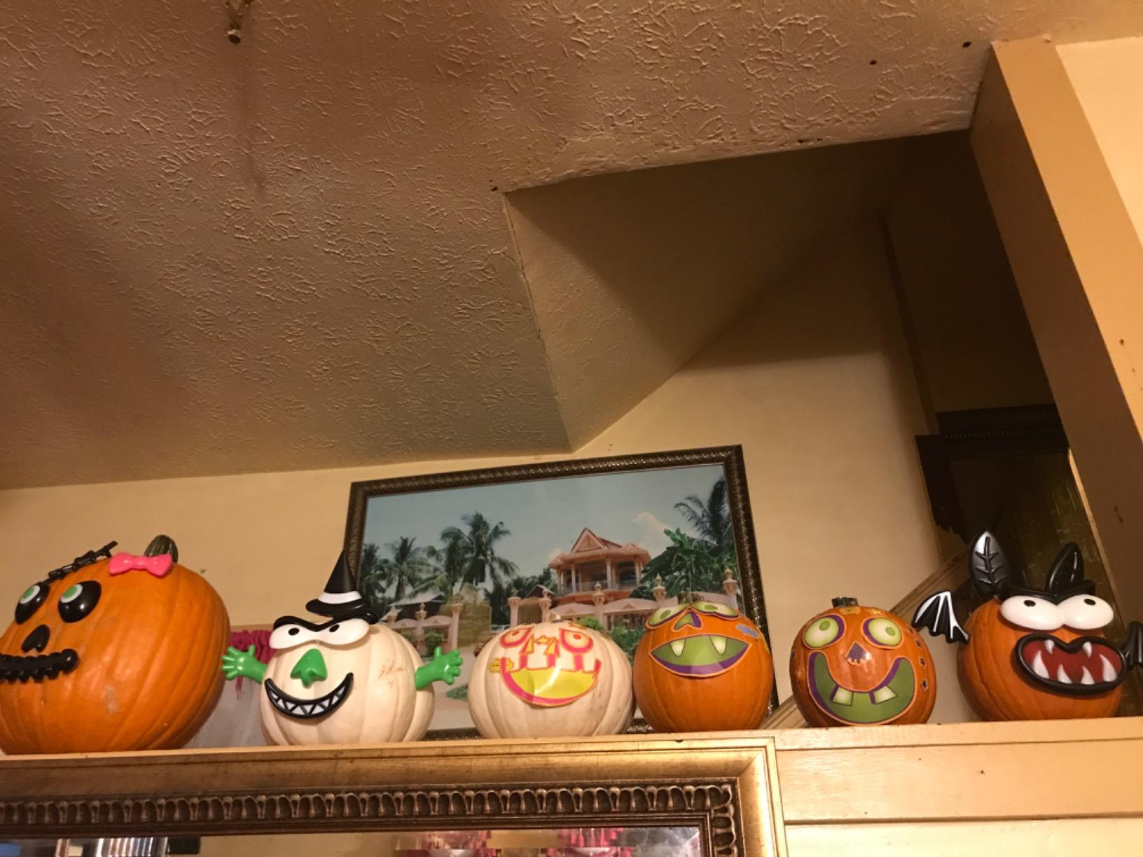 Amazon.com: Pumpkin Push Pin Decorating Kit 1 Varied Set : Home & Kitchen