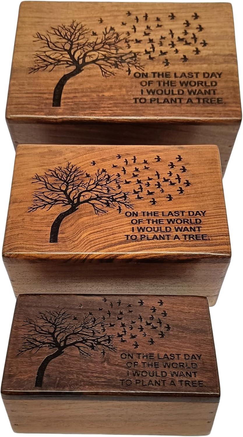 Amazon.com: Star Cremation Urn Box for Human Ashes, Adult Memorial Urn ...