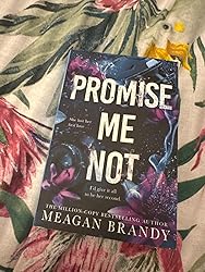 Promise Me Not: The brand-new angsty slow-burn romance following Tiktok ...