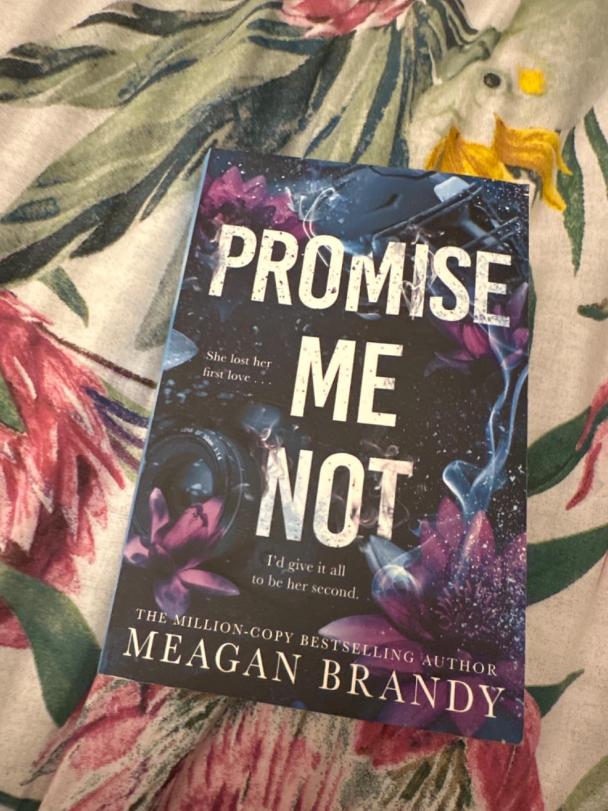 Promise Me Not: The brand-new angsty slow-burn romance following Tiktok ...