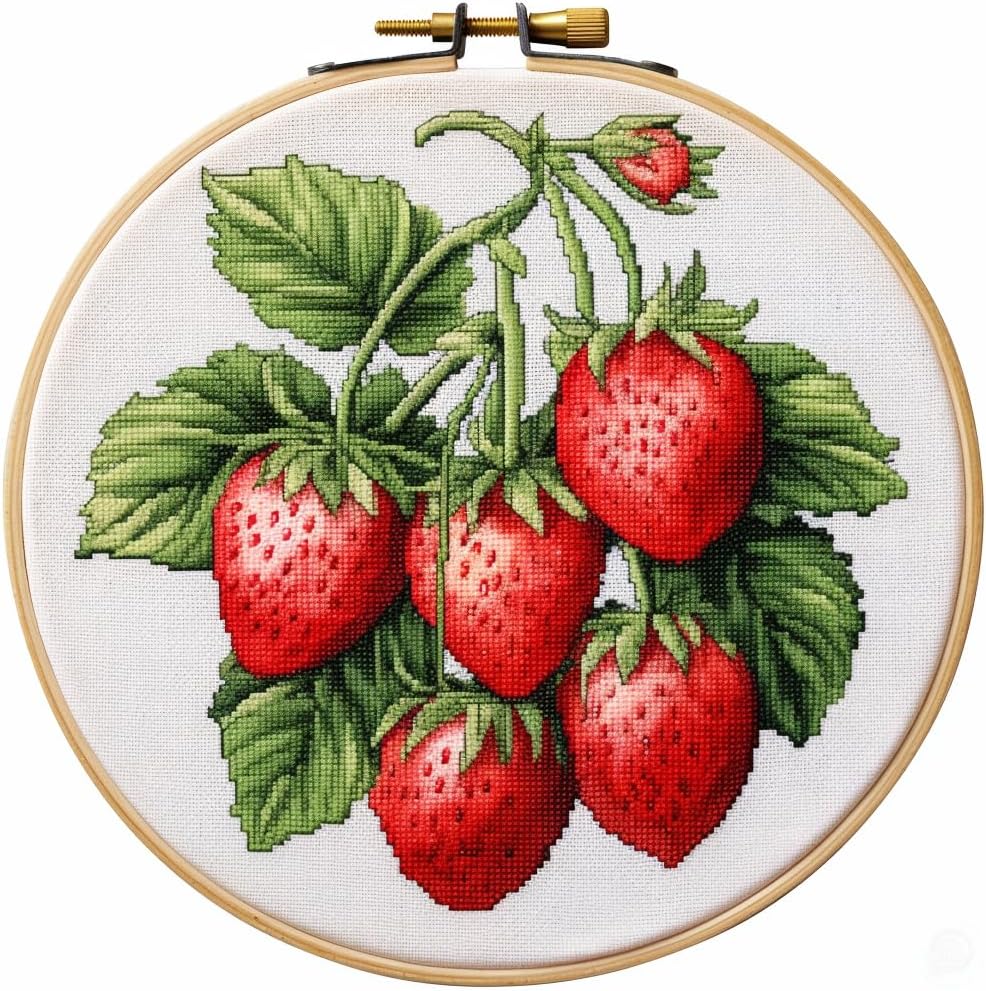 Amazon.com: Red Strawberry 11CT Stamped Cross Stitch Kits Easy for ...