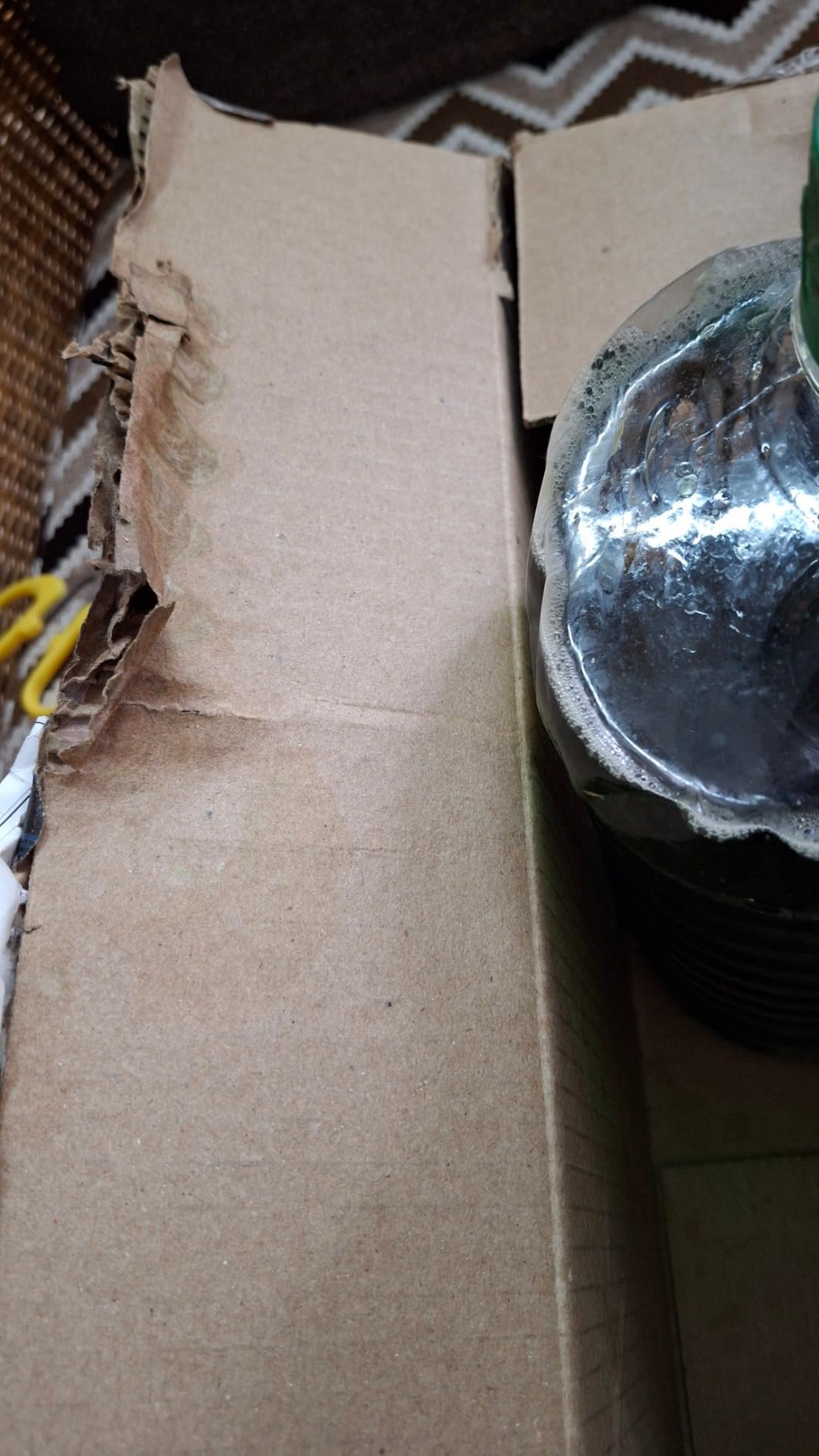 Amazon Brand - Presto! Disinfectant Surface/Floor Cleaner-5 L(Floral ...