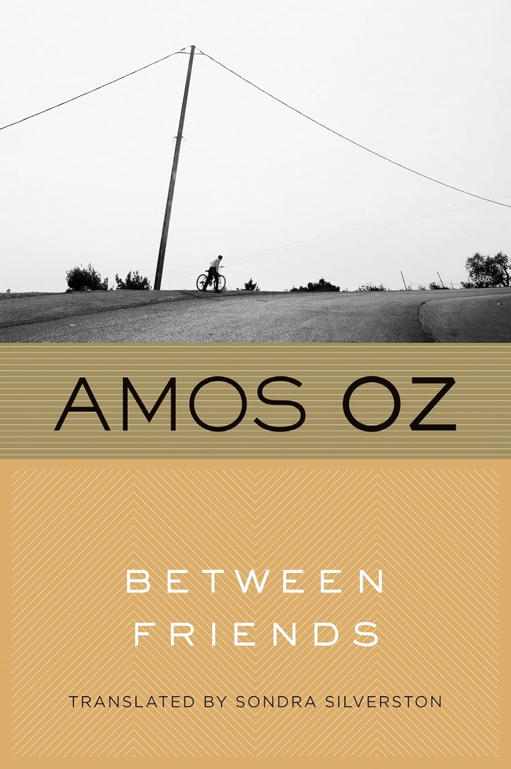 Amazon.com: Between Friends: 9780544227743: Oz, Amos: Books