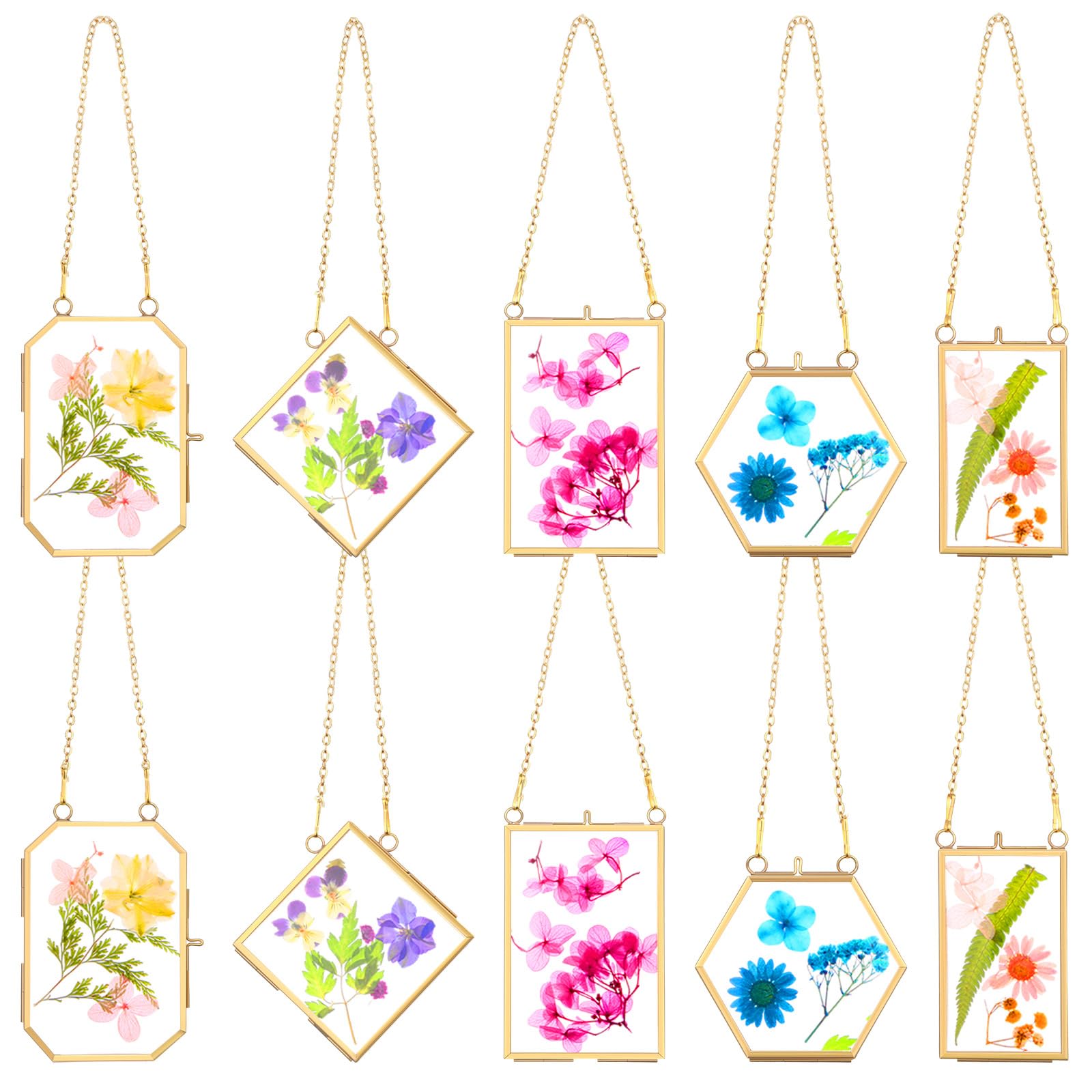 Amazon.com - BBTO 10 Pcs Glass Frame for Pressed Flowers 5 Different ...