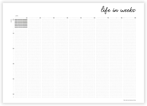 Amazon.com: Life in Weeks Calendar, 18" L x 24" W - A Powerful Way to ...