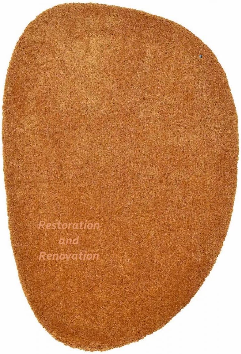Amazon.com: Restoration and Renovation Modern Oval shape Wool Rug ...