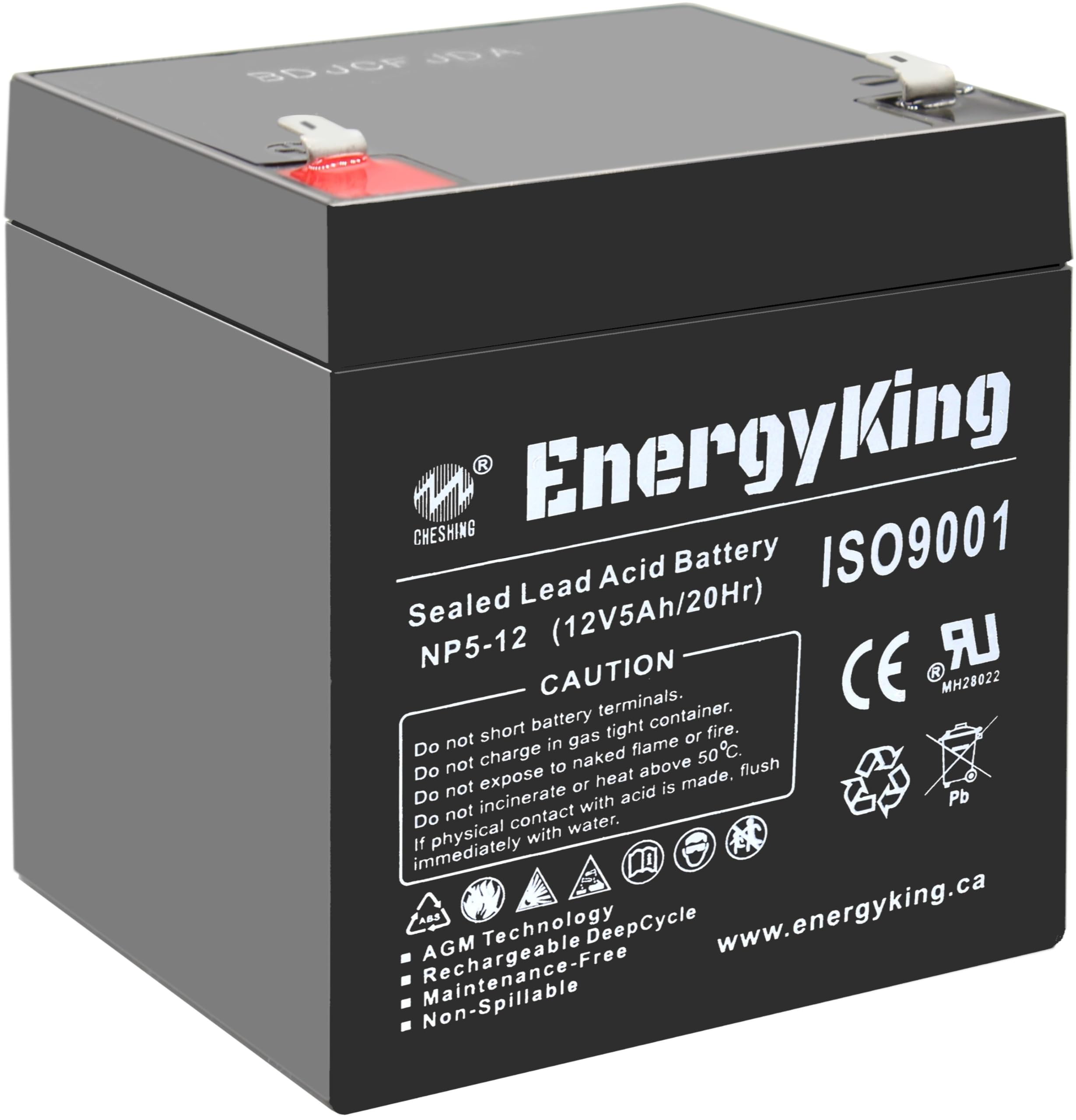 EnergyKing Standard Security Alarm Battery 12V 5Ah AGM Rechargeable ...