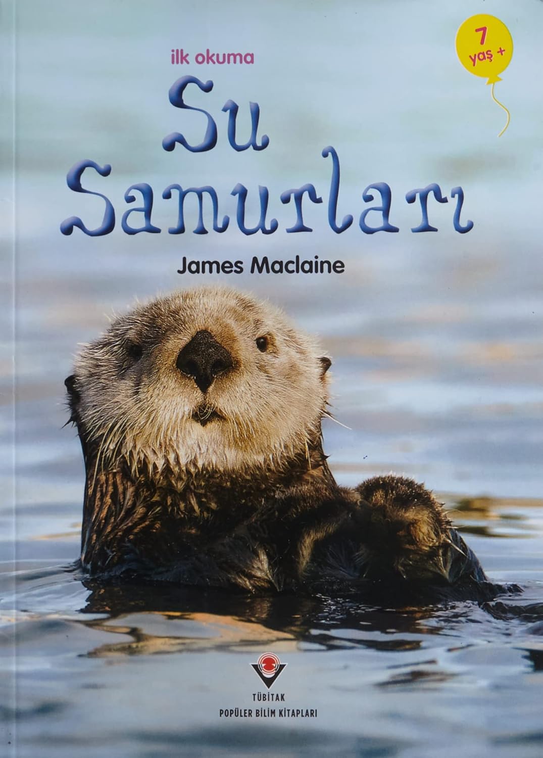 Ilk Okuma - Su Samurlari: James Maclaine: 9786053124122: Books - Amazon.ca