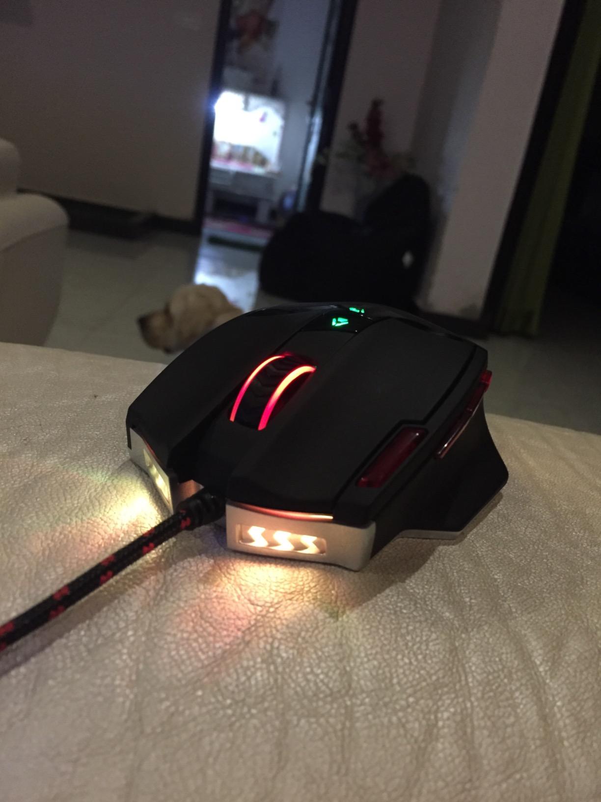 Amazon.in: Buy MSI Interceptor Ds200 Gaming Mouse Online at Low Prices ...