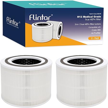 Amazon.com: 2 Pack Core 300 True HEPA Replacement Filters for LEVOIT ...
