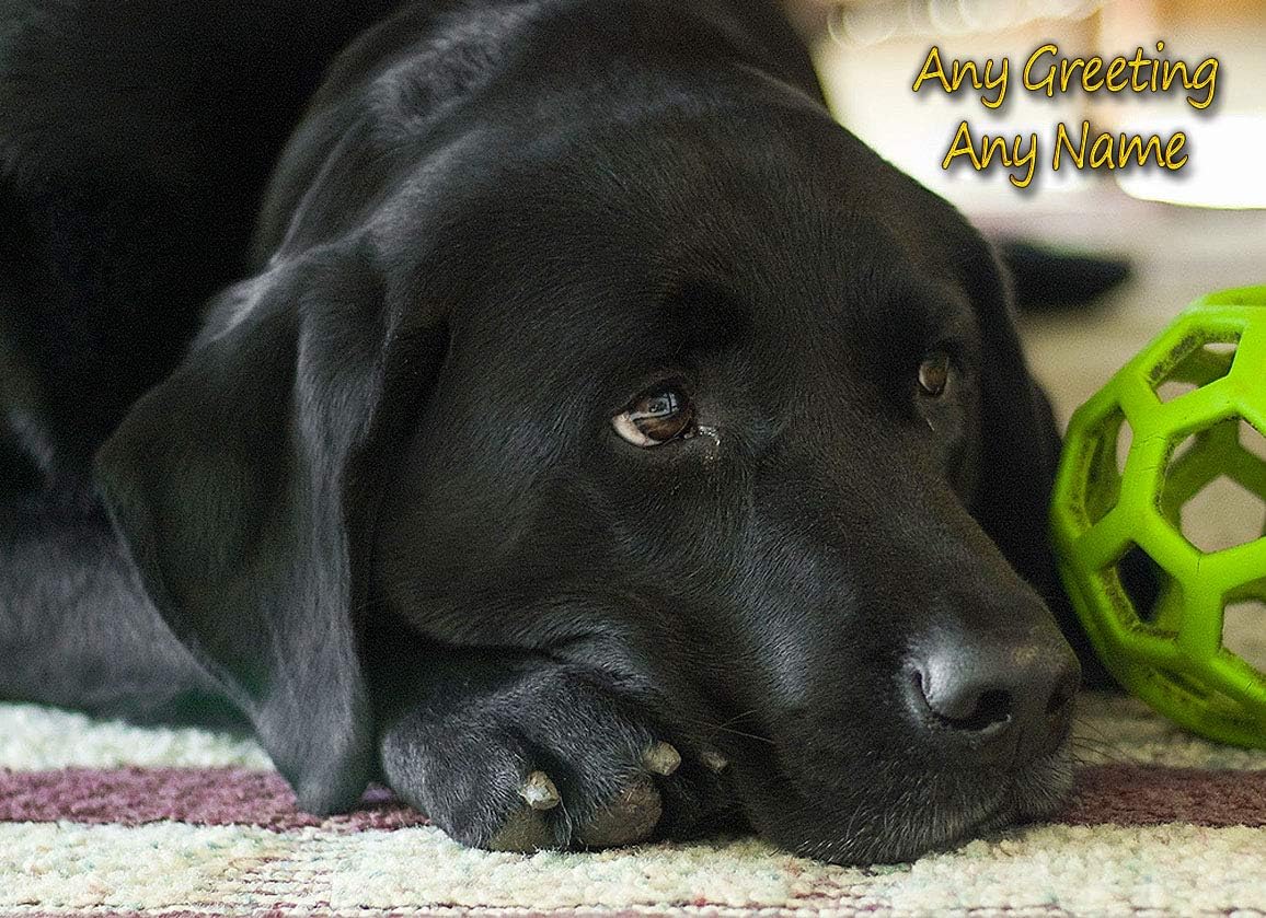 ALEX CLARK Birthday Wishes Labrador Dog Card : Amazon.co.uk: Stationery ...