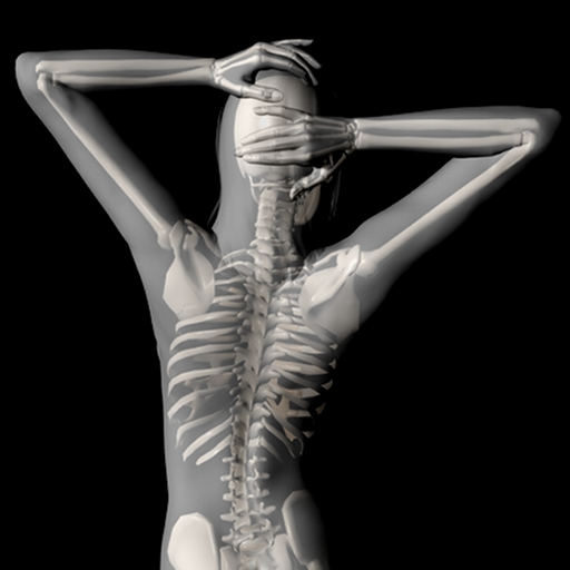 360° Anatomy for Artists: Female Figure - App on Amazon Appstore