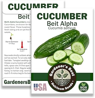 The Surprising Amount Of Sugar Found In A Cucumber Revealed | ShunCy