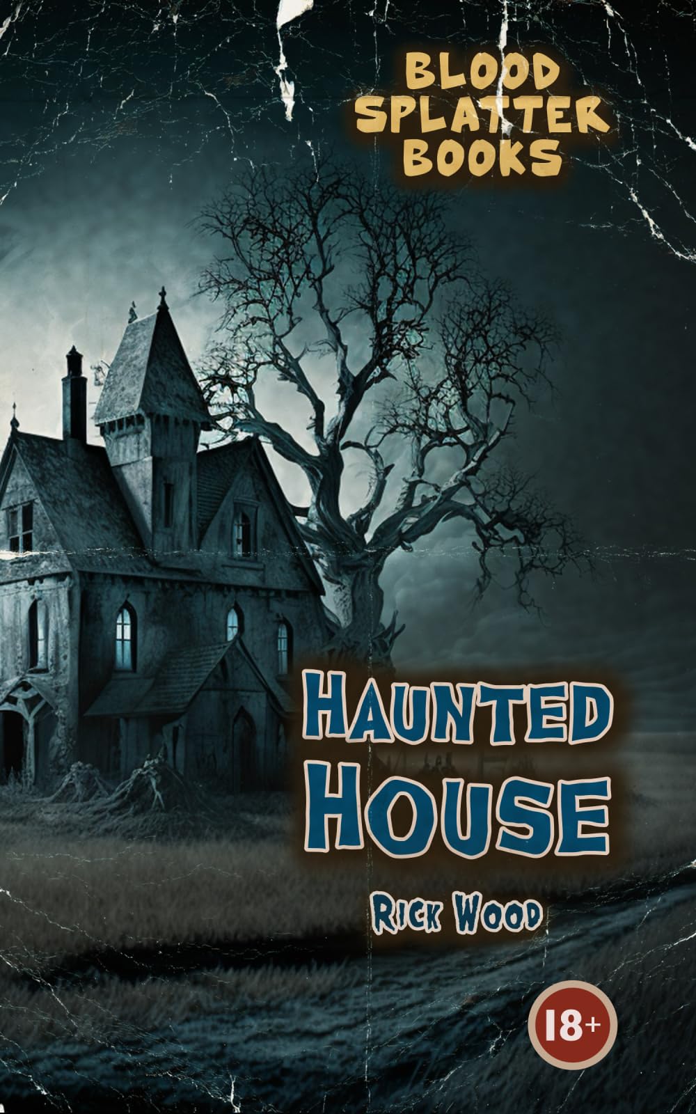 Haunted House (Blood Splatter Books): Wood, Rick: 9781838475321: Amazon ...