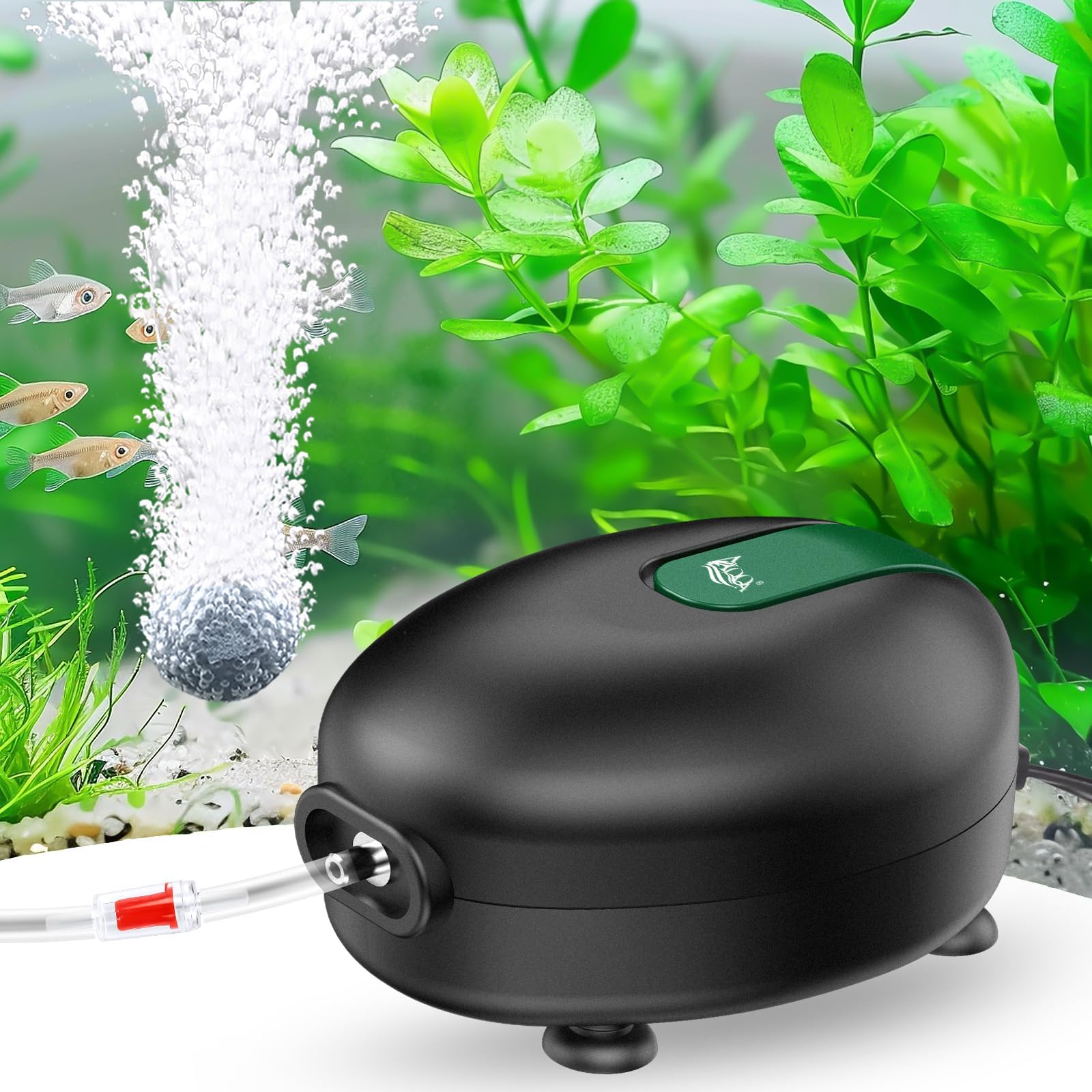 Amazon.com : AQQA Aquarium Air Pump Quiet Fish Tank Aerator Pump Powerful Oxygen Pump Single ...