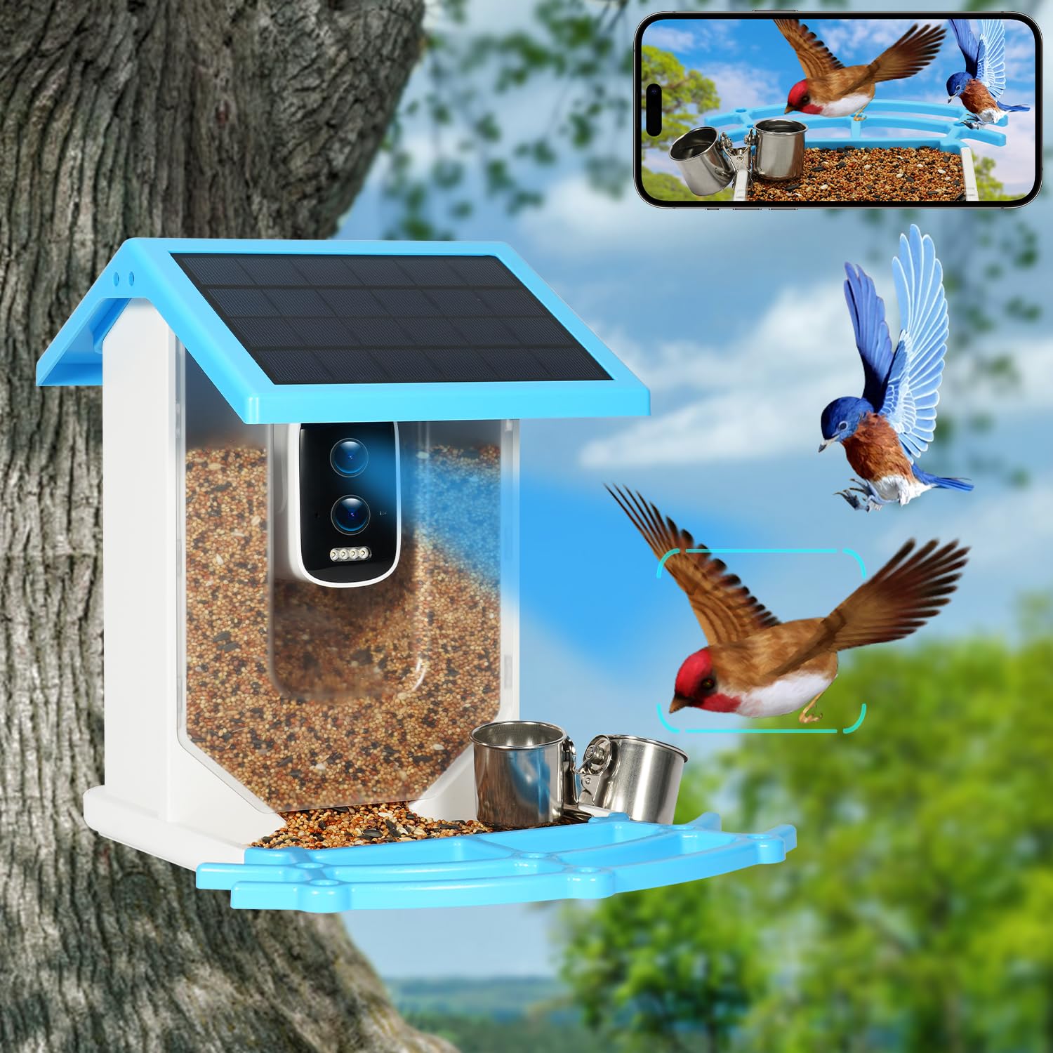 Amazon.com : Bird Feeder with Camera, Bird Feeder with Water Bowl ...