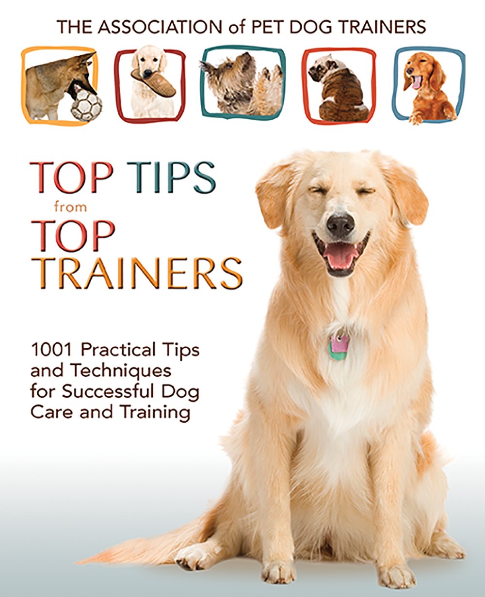Top Tips from Top Trainers: 1001 Practical Tips and Techniques for ...