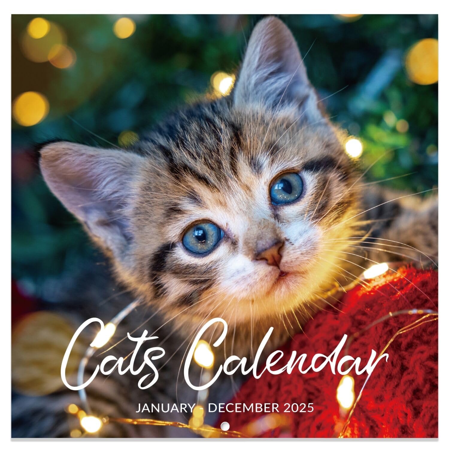 2025 2026 Calendar Wall Calendar 2025 2026 Jul 2025 Dec | Desertcart ...