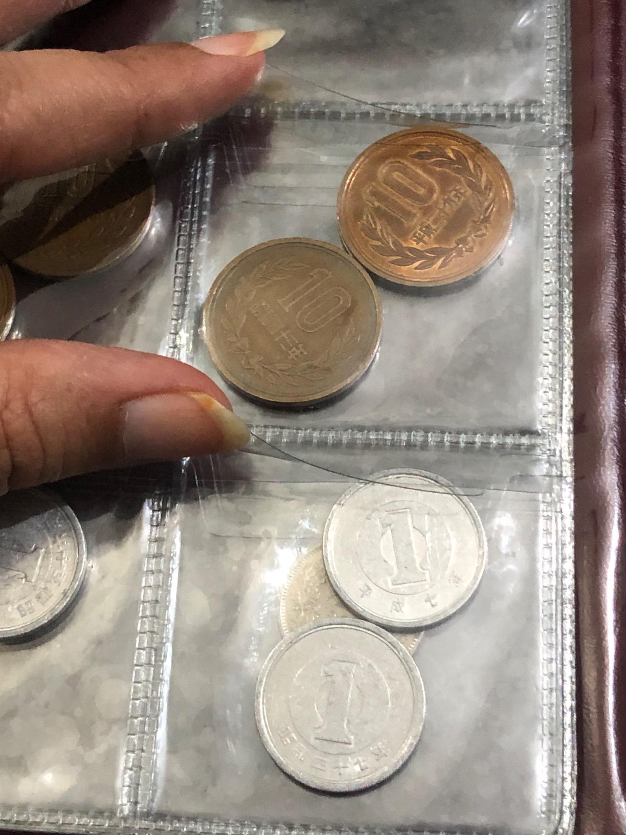 Lewano Premium Faux Leather Coin Collection Storage Album (240 Pocket ...