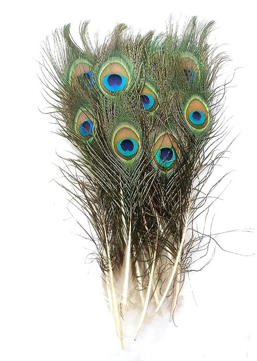 Templeshop - Peacock Feather Eyes with Stem, Mor Pankh, Mayur Palak (10 ...